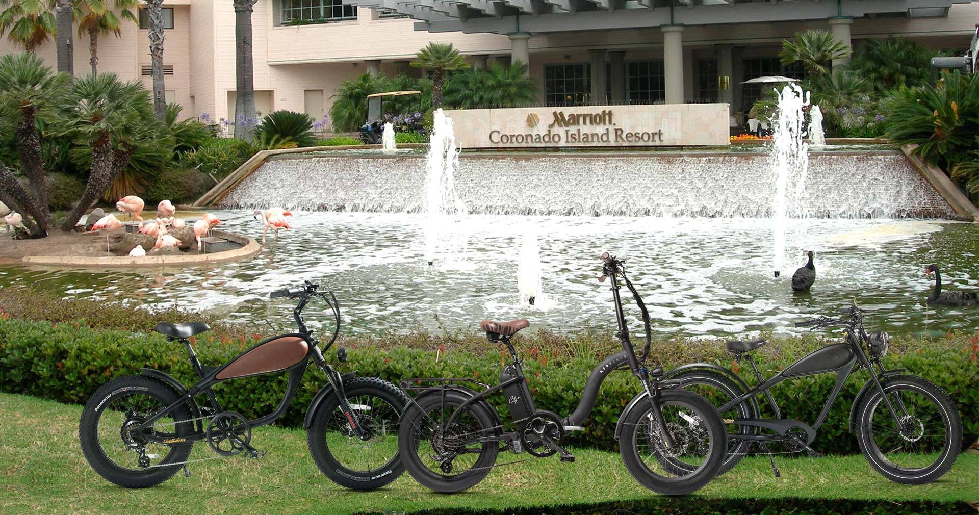 Paradise Tours & Rentals – eBike Tours & Rental Services